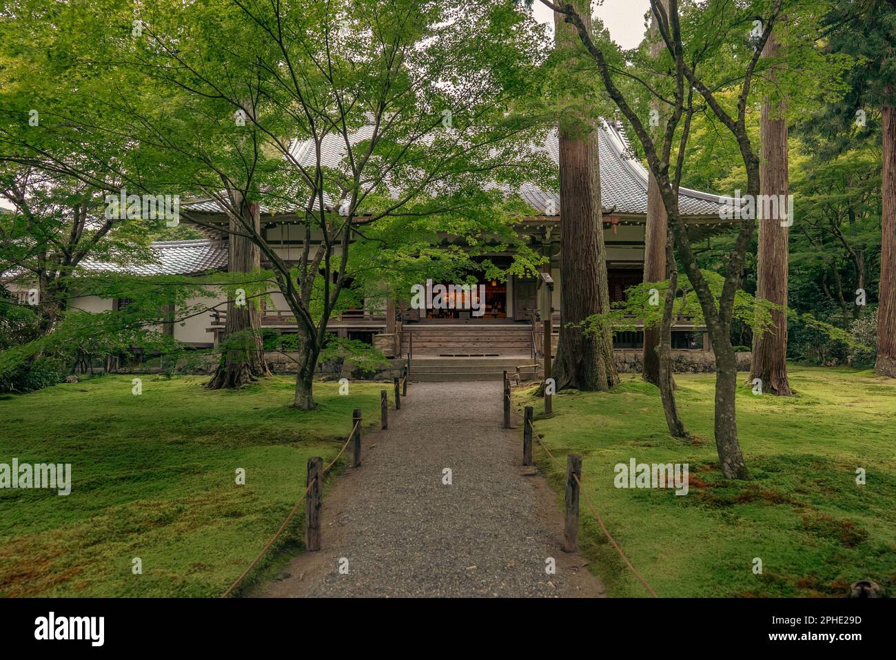 A scenic pathway lined with a walkway and lush green grass, leading to ...