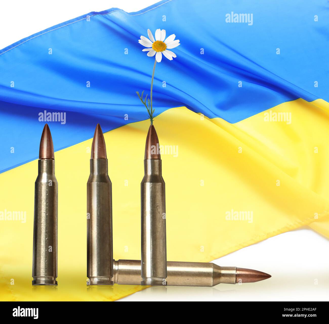 Beautiful blooming flower, bullets and Ukrainian national flag on white ...