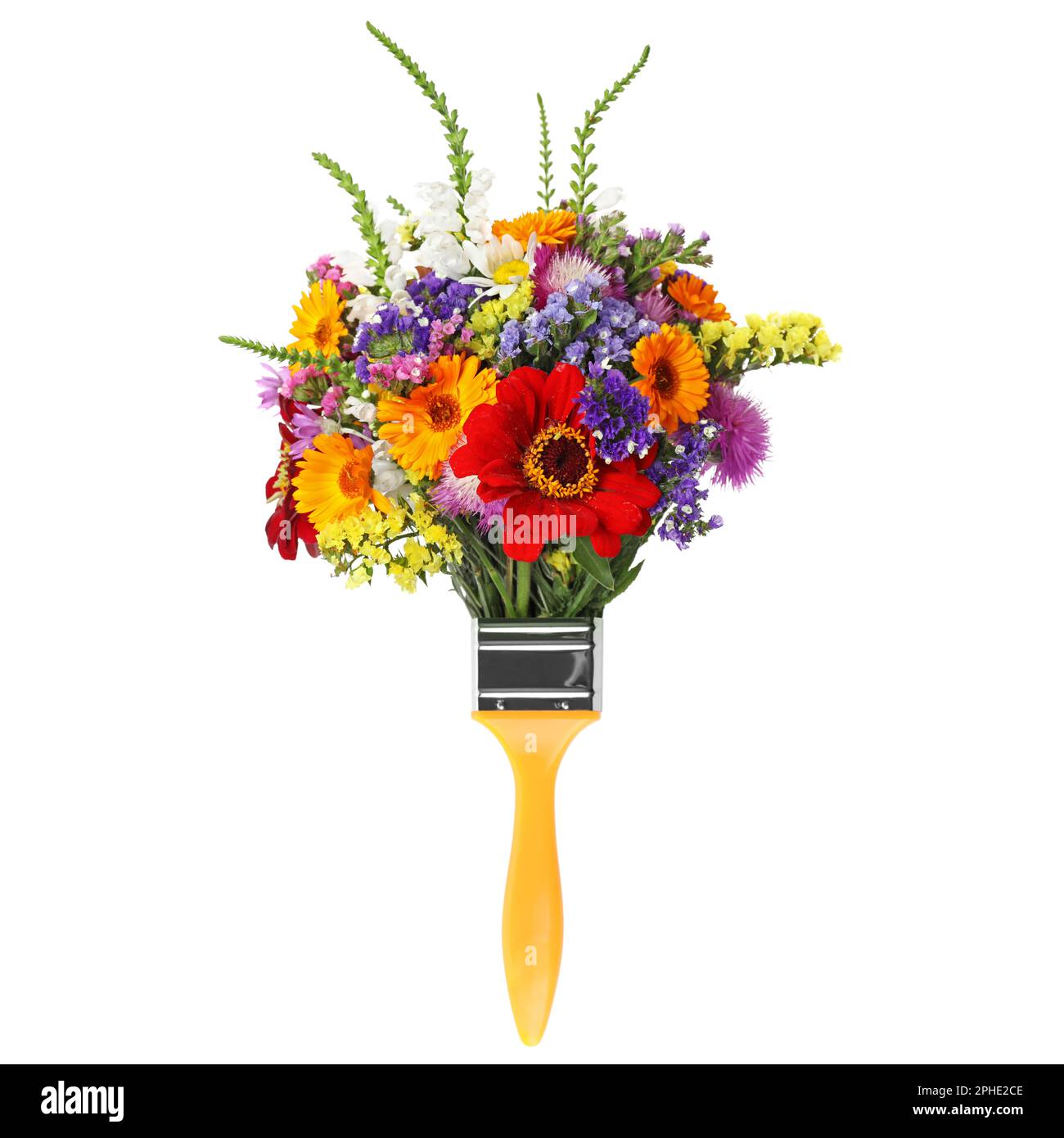 Creative design with paint brush and beautiful flowers on white ...