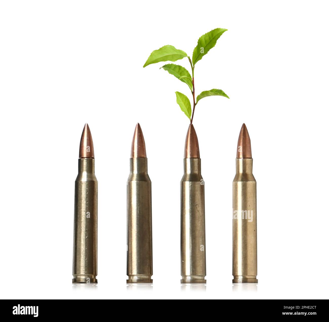 Branch with green leaves and bullets on white background. Peace instead ...