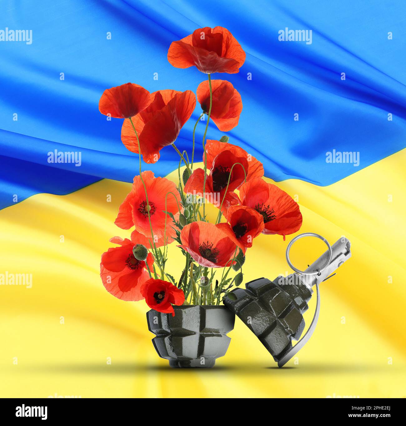 Beautiful blooming poppy flowers and hand grenade against Ukrainian ...