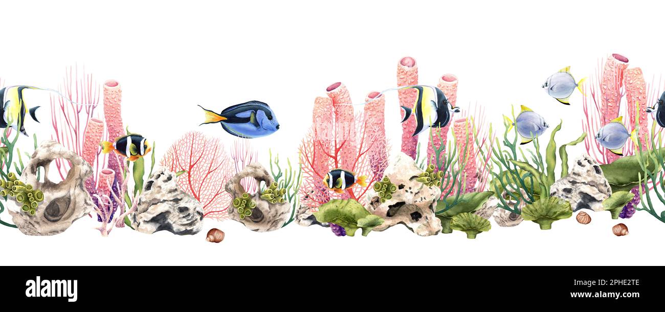 Sea Creature Border Clip Art Underwater World Clipart With Sea