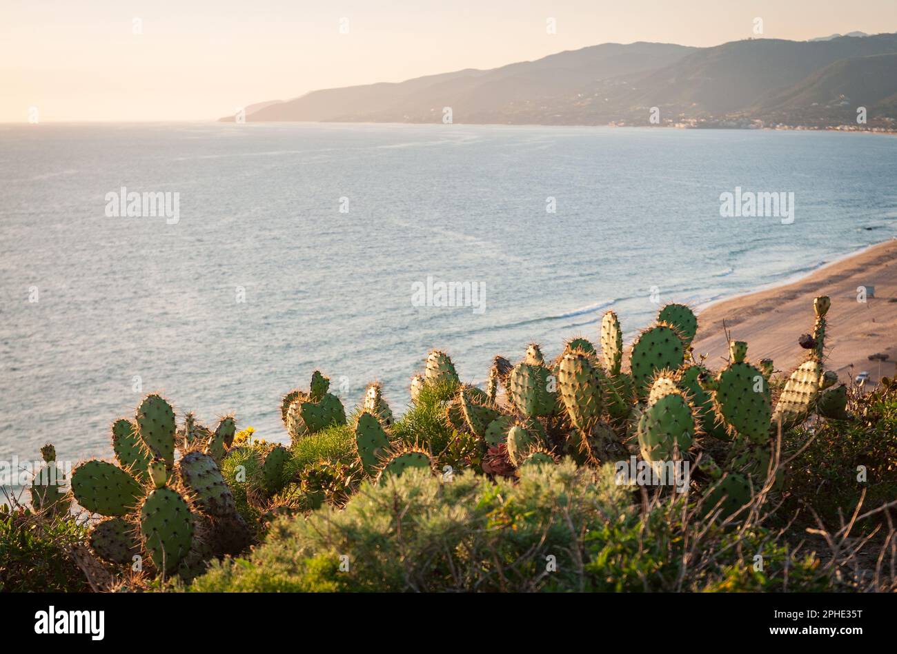 State parks tide pools hi-res stock photography and images - Alamy