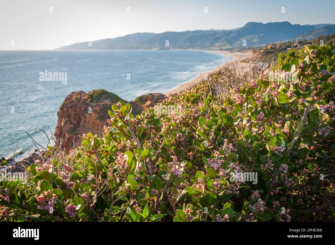 Point Dume State Beach in California Stock Photo - Alamy