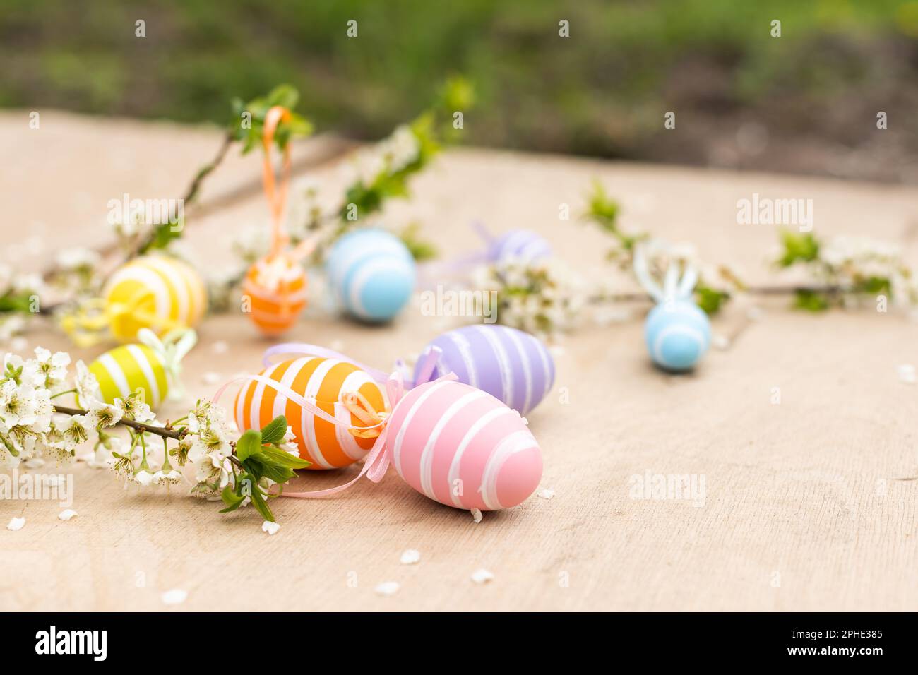 A Easter egg on a branch of a blooming cherry tree. Easter spring ...