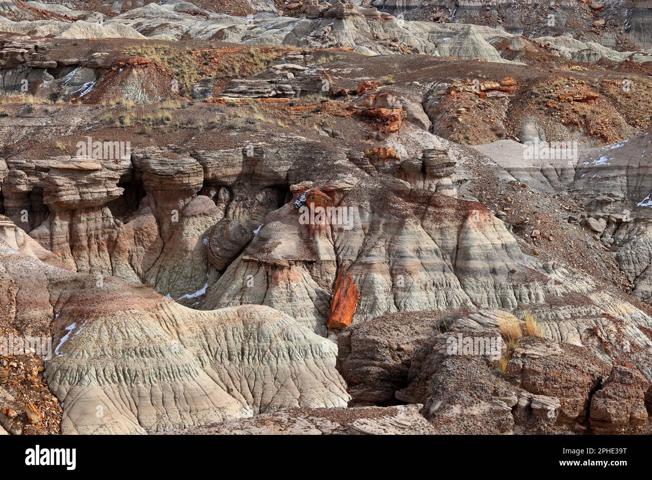 Petrified Forest National Park, a natural attraction place with many ...