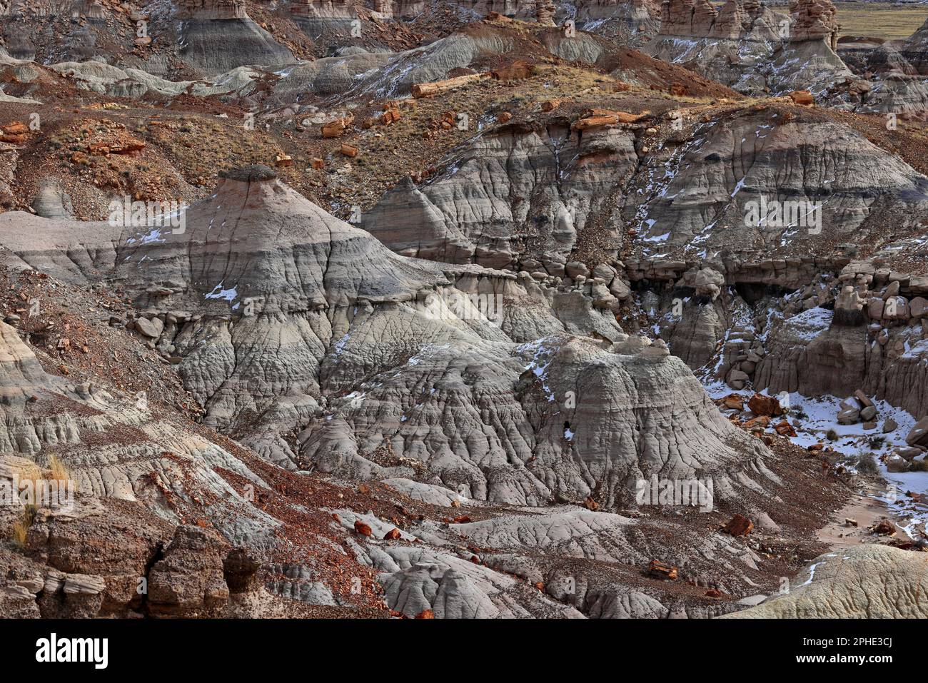 Petrified Forest National Park, a natural attraction place with many ...