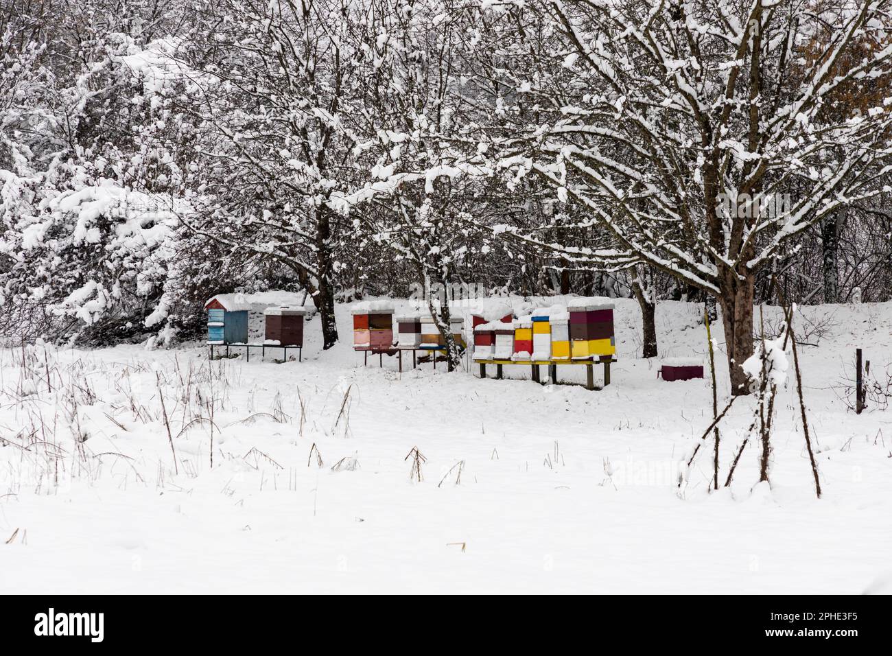 Beehives in winter covered in deep snow Stock Photo - Alamy