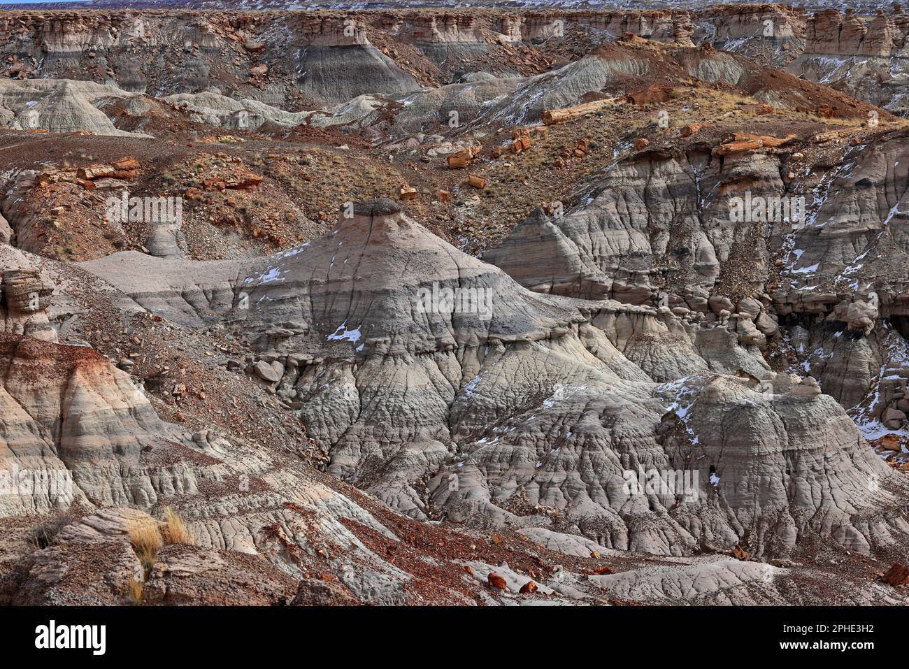 Petrified Forest National Park, a natural attraction place with many ...