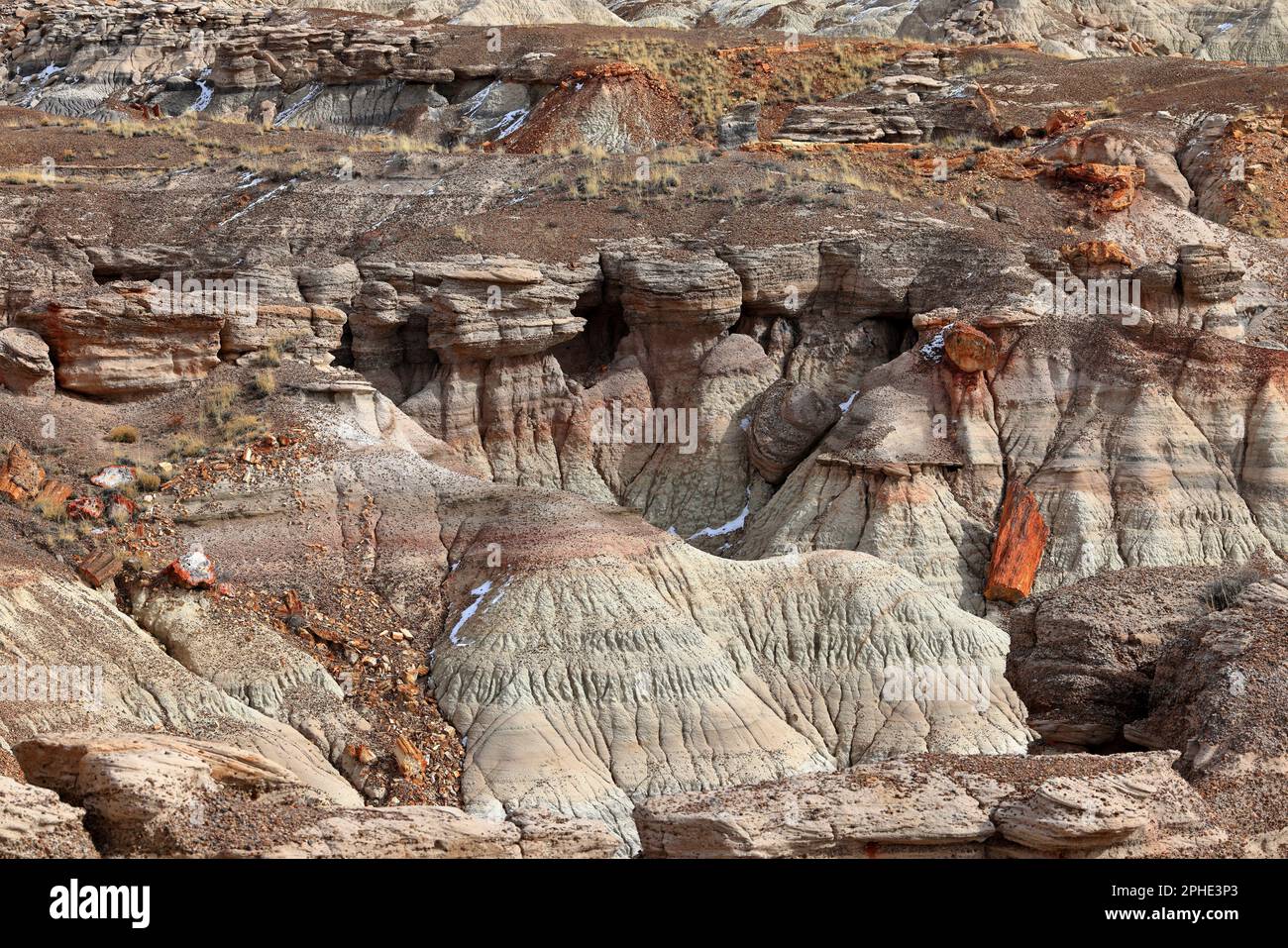 Petrified Forest National Park, a natural attraction place with many ...