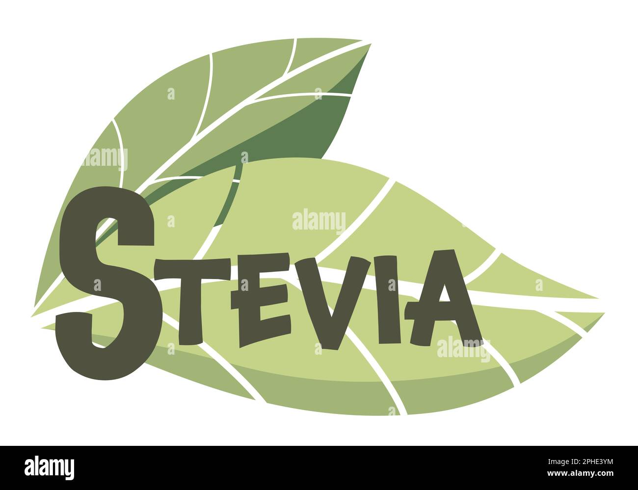Stevia sweetener vector logo template. Green leaf of sugar Stock Vector ...