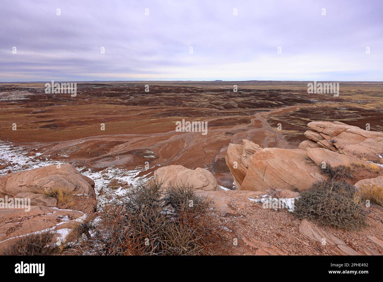 Petrified Forest National Park, a natural attraction place with many ...
