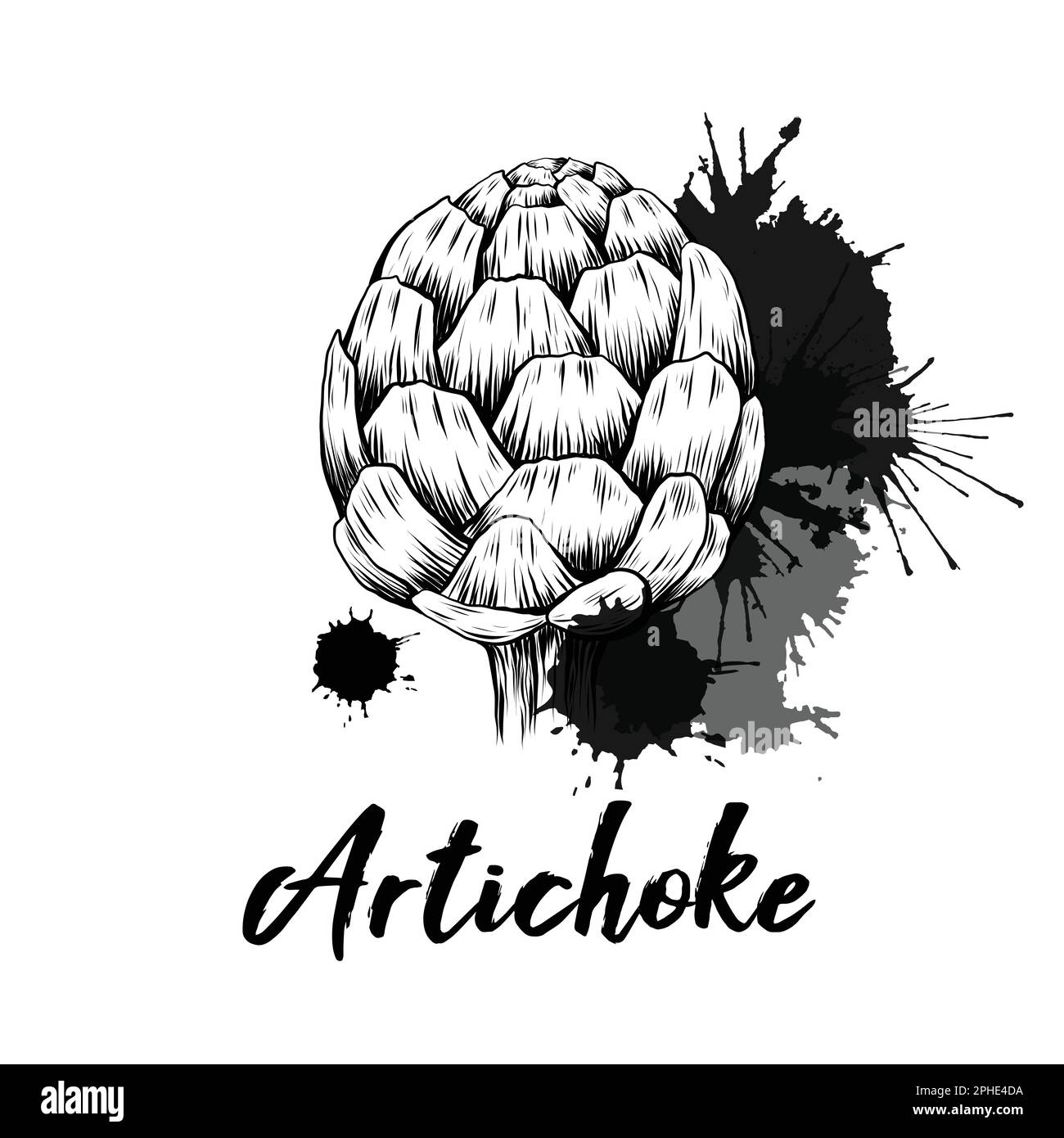 Vector monochrome illustration of hand drawn artichokes with ink ...