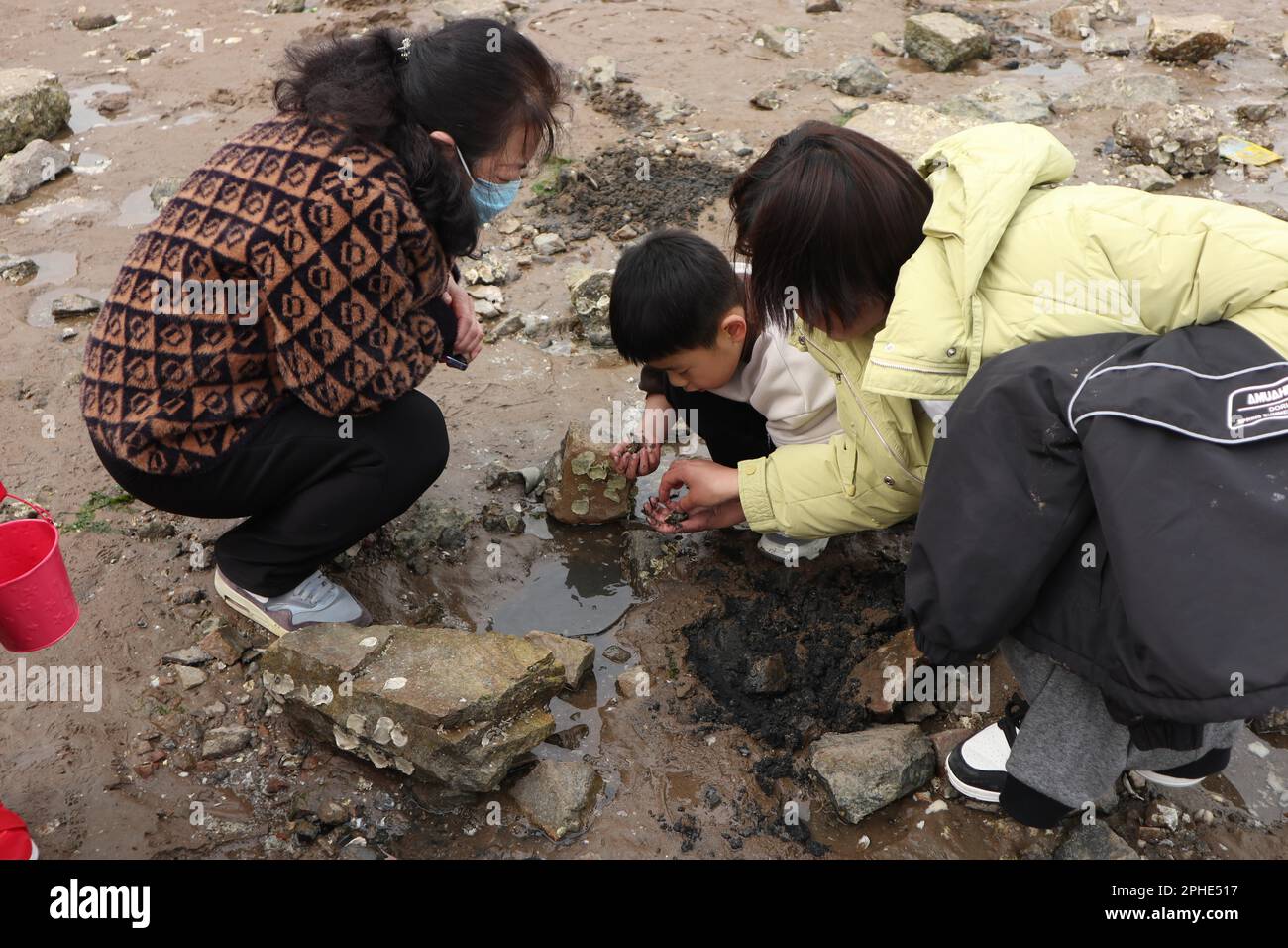 Parents take children to pick up shells at the seaside of the Zhanqiao ...