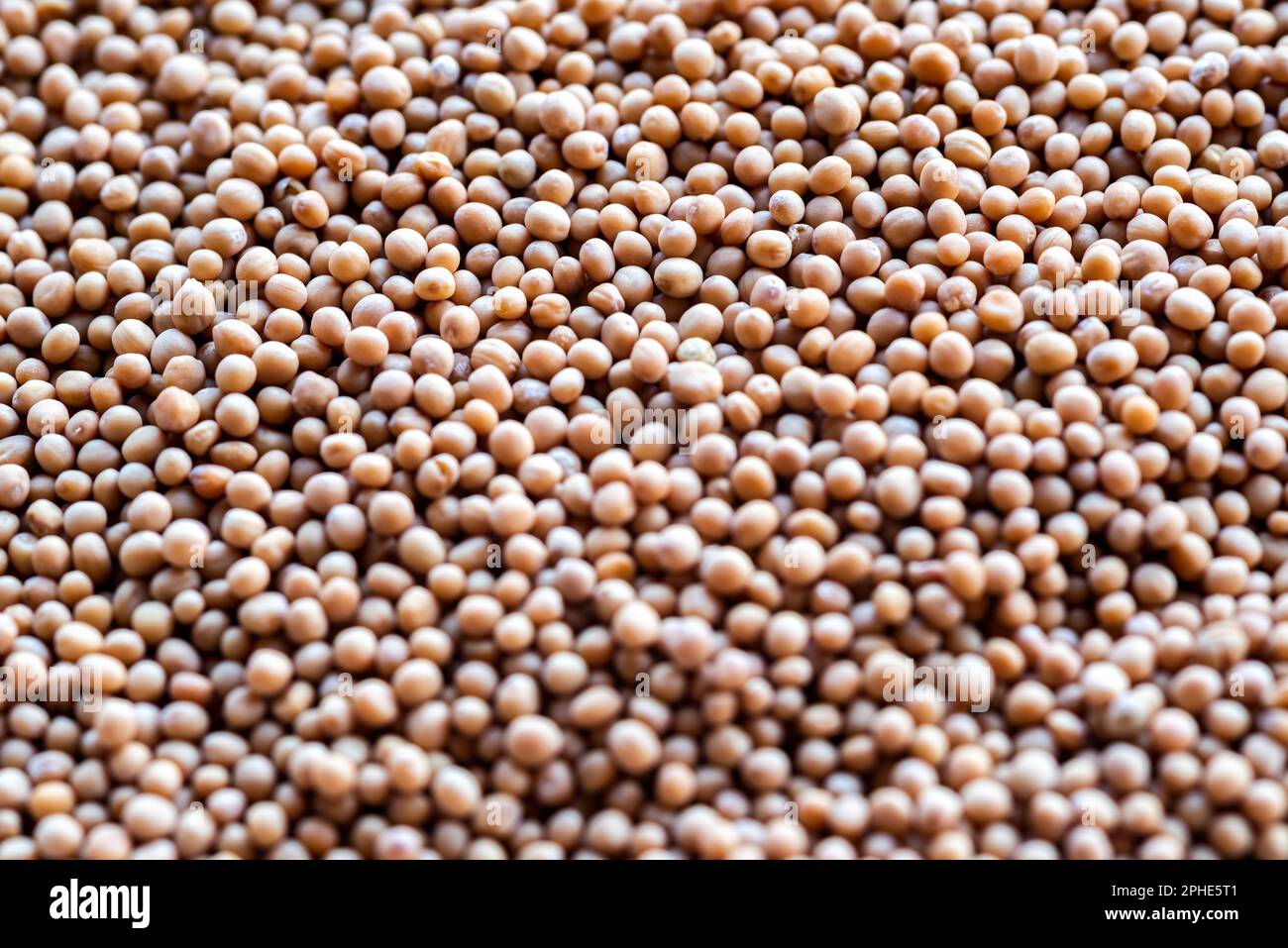 Yellow mustard seeds texture background hi-res stock photography and ...