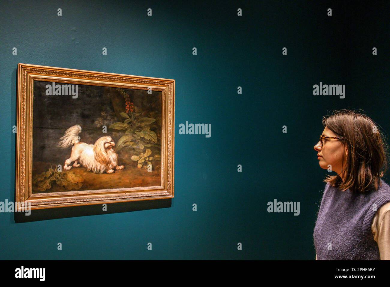 Paintings of dogs hanging hi-res stock photography and images - Alamy