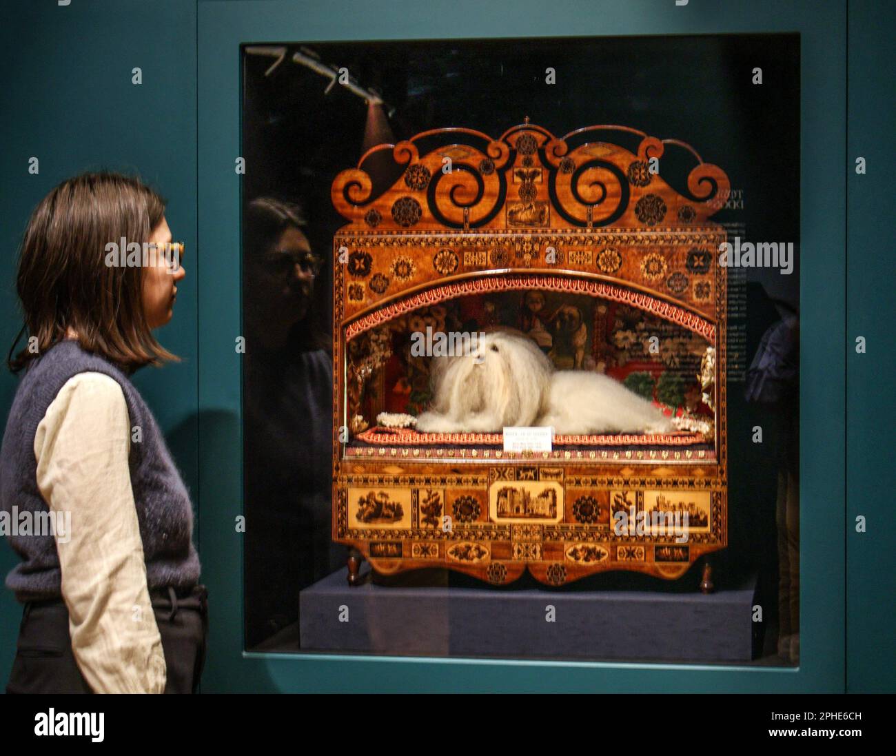 Paintings of dogs hanging hi-res stock photography and images - Alamy