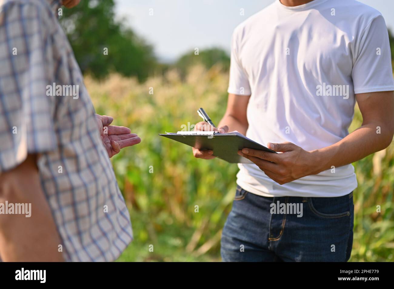 Cropped image of a millennial Asian male corn field owner talking and ...