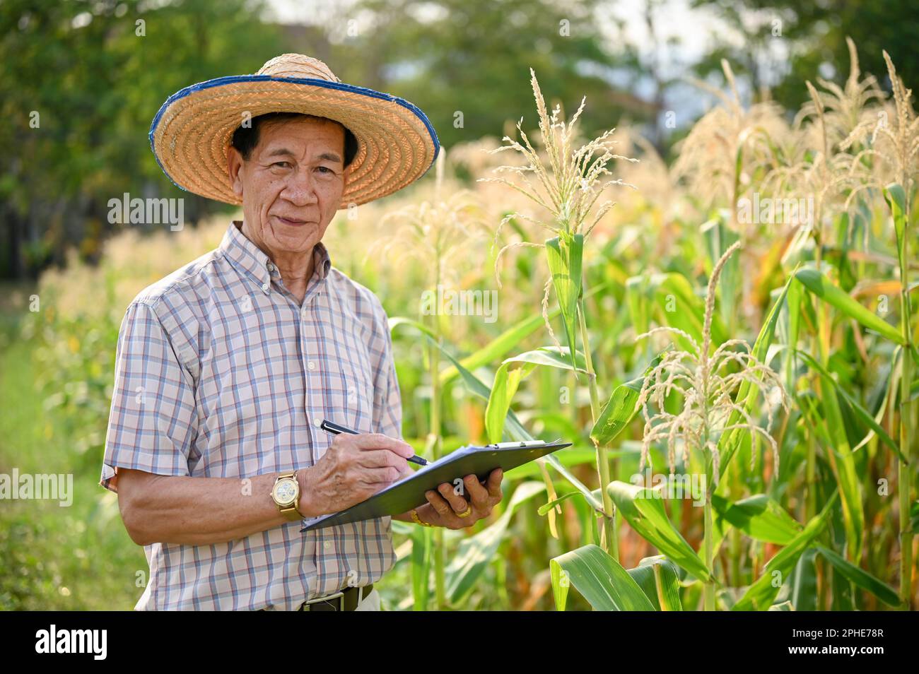 An elderly Asian male farmer or farm owner in straw hat and clipboard ...