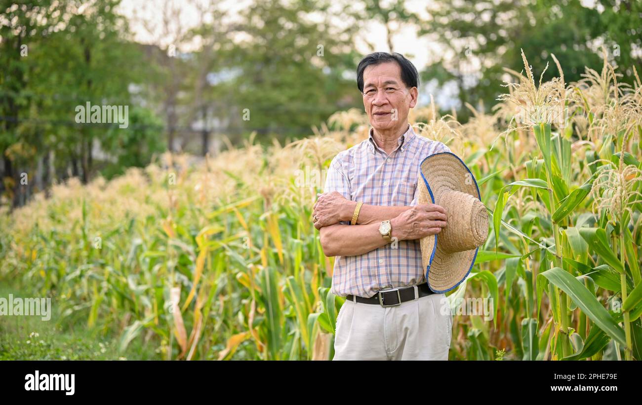 Successful Asian-aged male farmer or corn farm owner with his straw hat ...