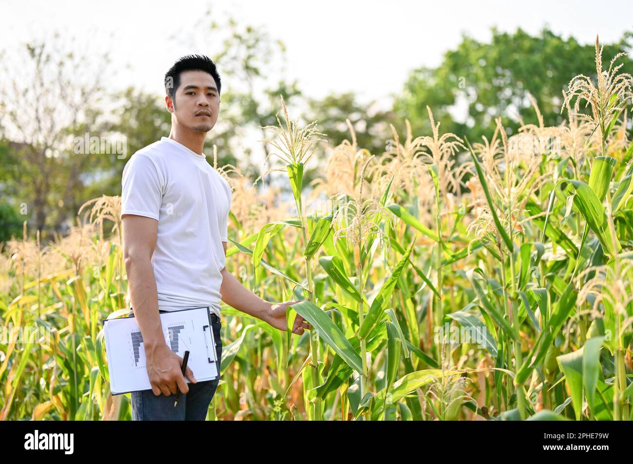 A handsome millennial Asian male farmer or farm owner inspecting the ...