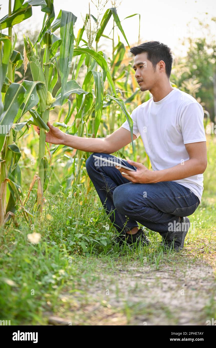 Portrait, A professional millennial Asian male farmer or farm owner ...