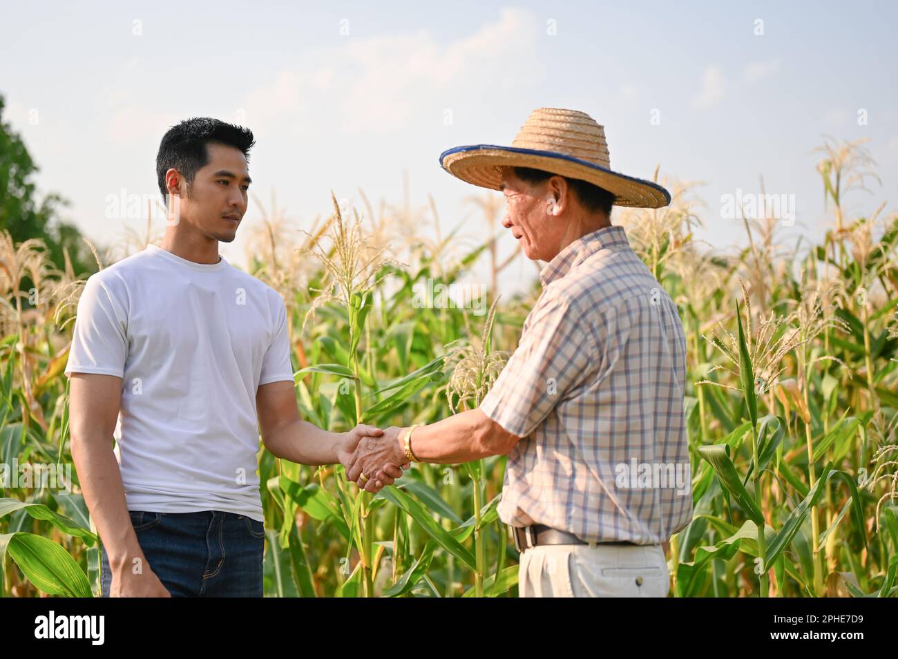 An Asian businessman or supplier shaking hands with an elderly farmer ...