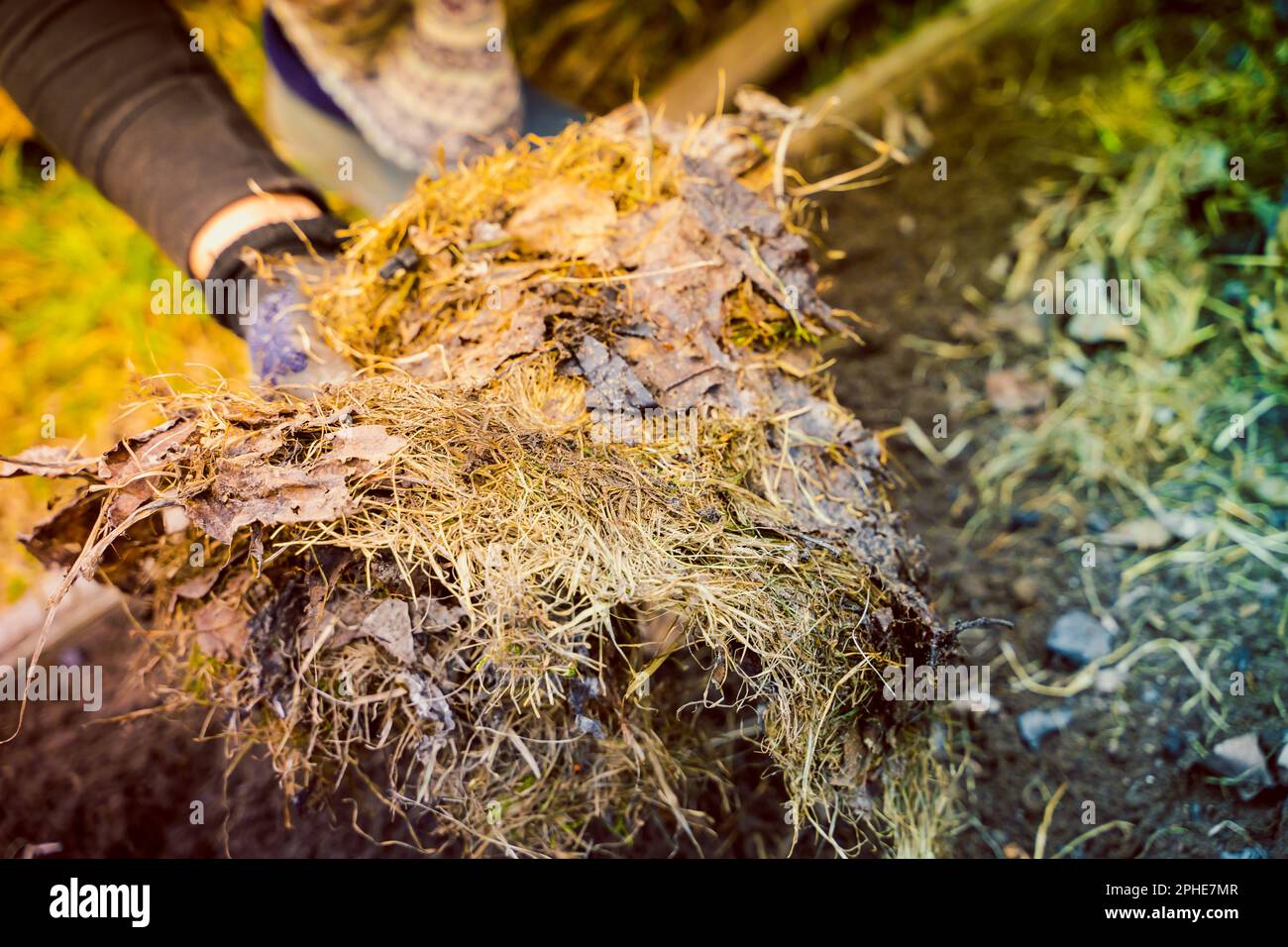 Soil covering hi-res stock photography and images - Alamy