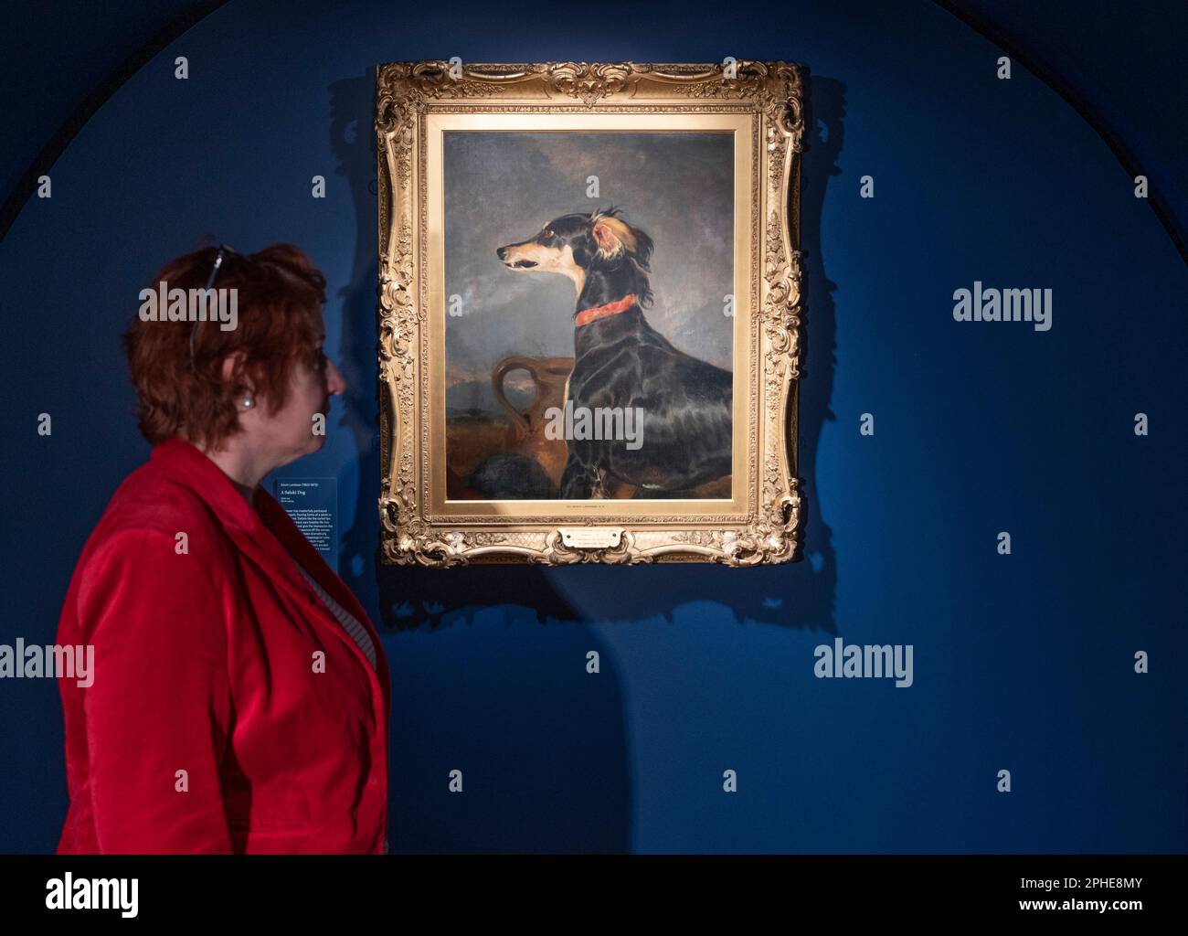 Portraits of dogs from gainsborough to hockney hi-res stock photography ...