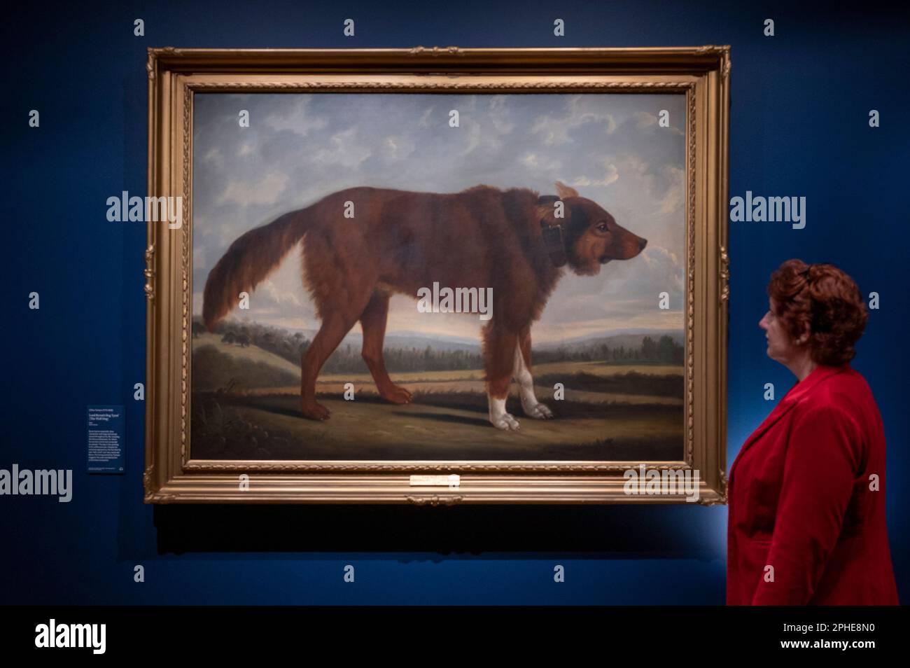 Portraits of dogs from gainsborough to hockney hi-res stock photography ...