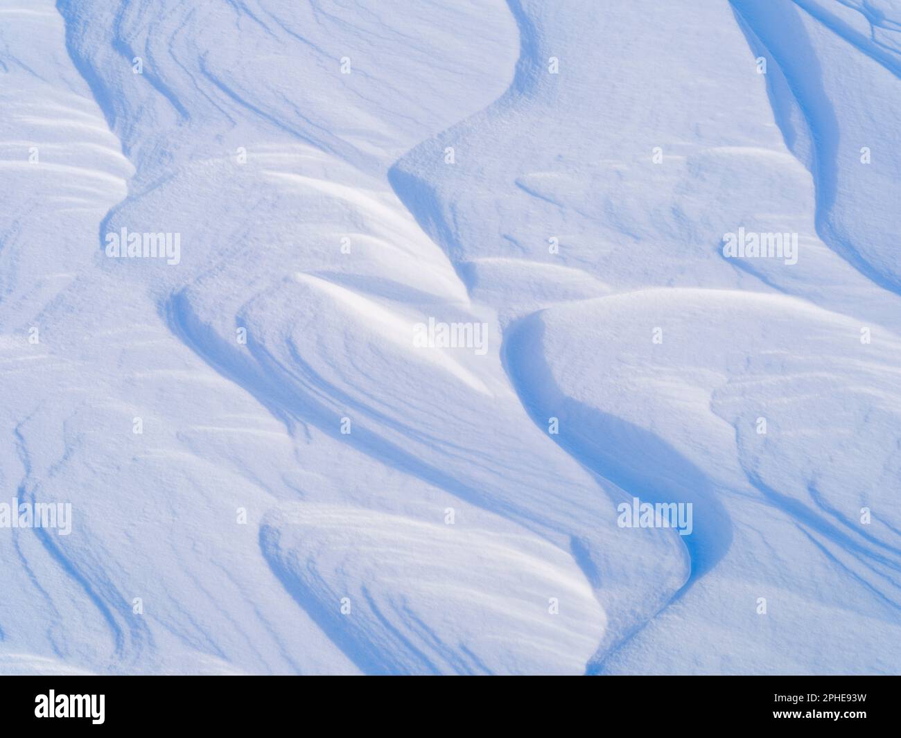 Sastrugi, wind erosion in snow, between glaciers Rabotbreen and ...