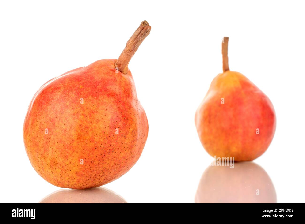 Two organic Bartlett pears, macro, isolated on white background Stock ...