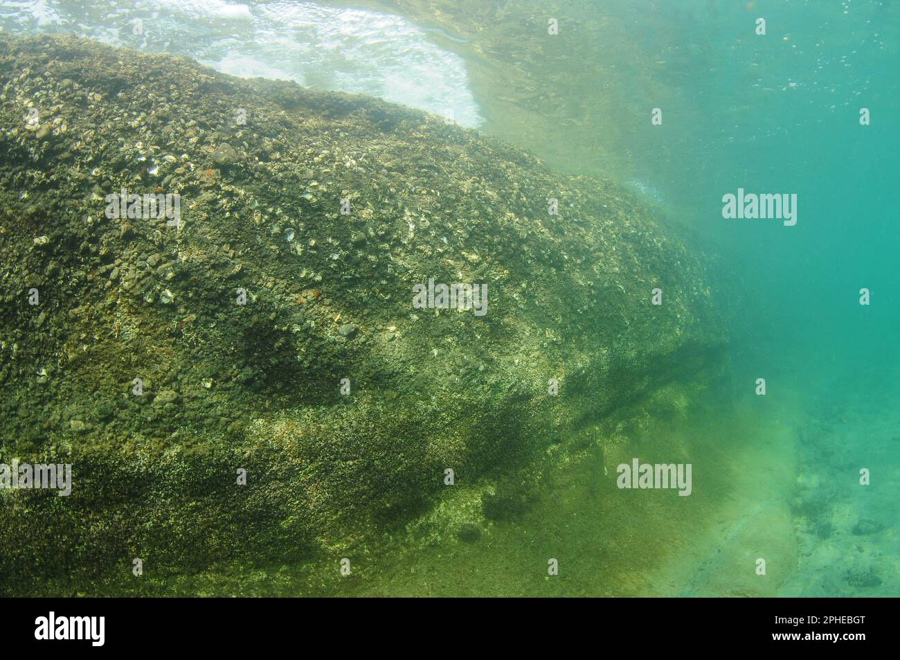 Rocky shelf covered by oyster shells reaching almost to sea surface ...