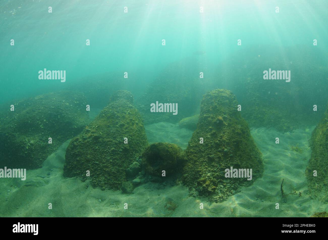Submerged rocks on sandy bottom lit by backlight. Location: Leigh new ...