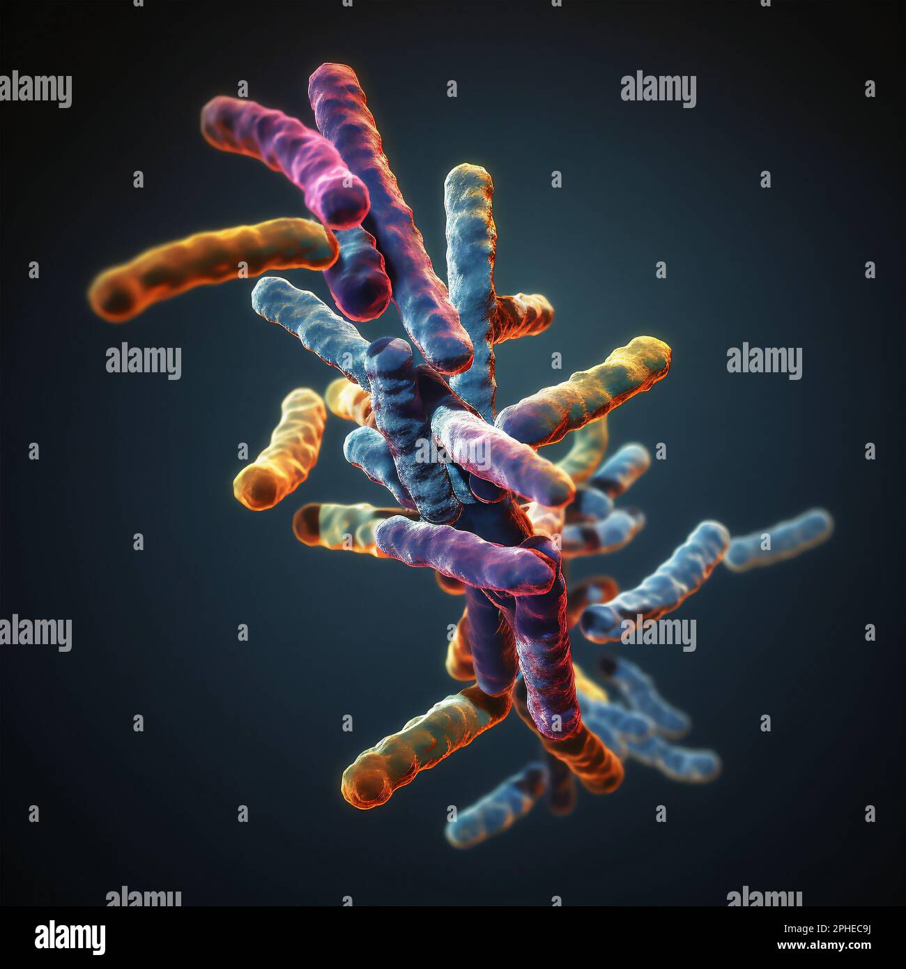 Citrobacter bacteria hi-res stock photography and images - Alamy
