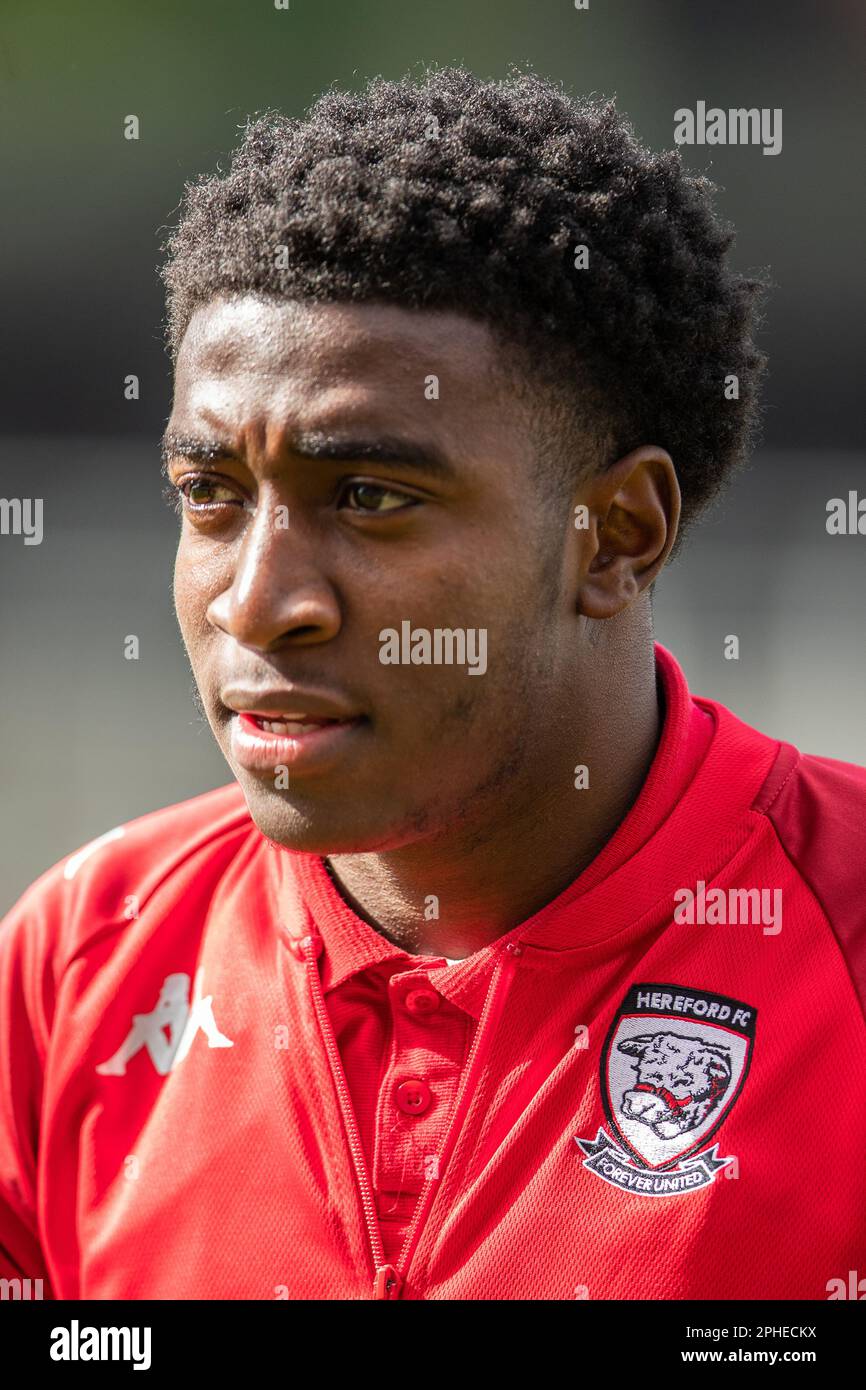 Jethro hanson hereford hi-res stock photography and images - Alamy