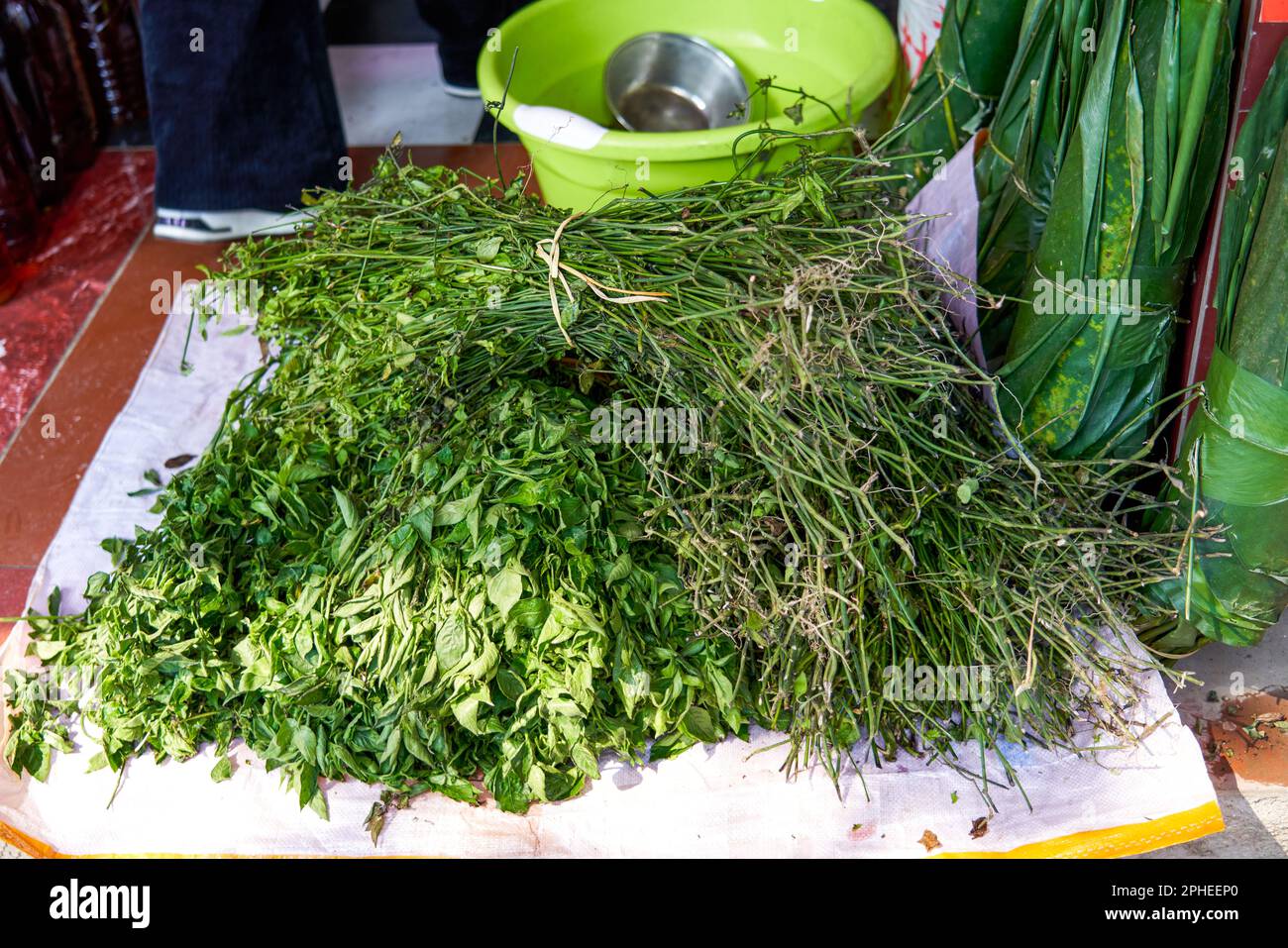 Herbs needed to make five-color glutinous rice, a traditional Chinese ...