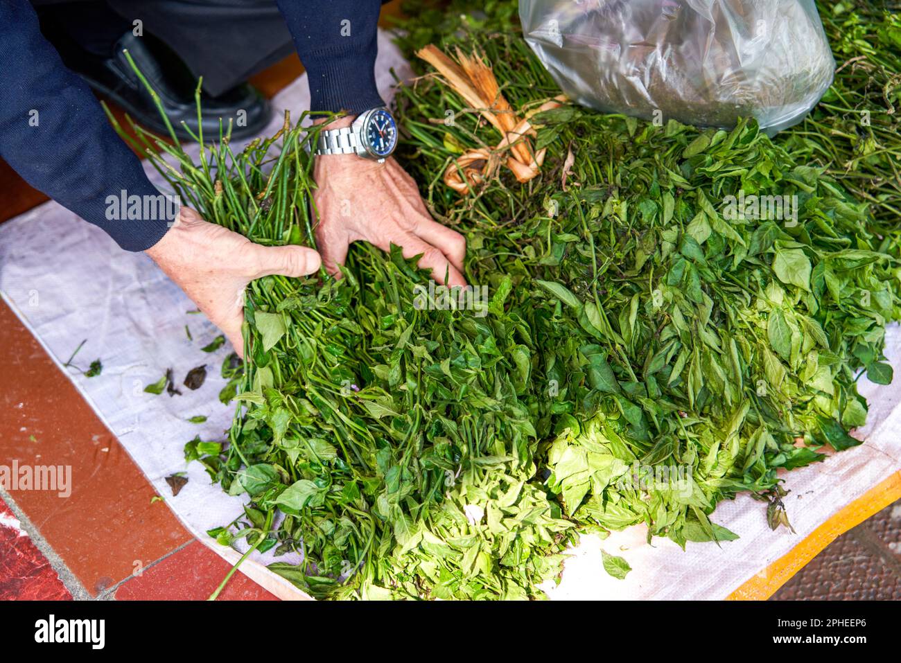 Herbs needed to make five-color glutinous rice, a traditional Chinese ...