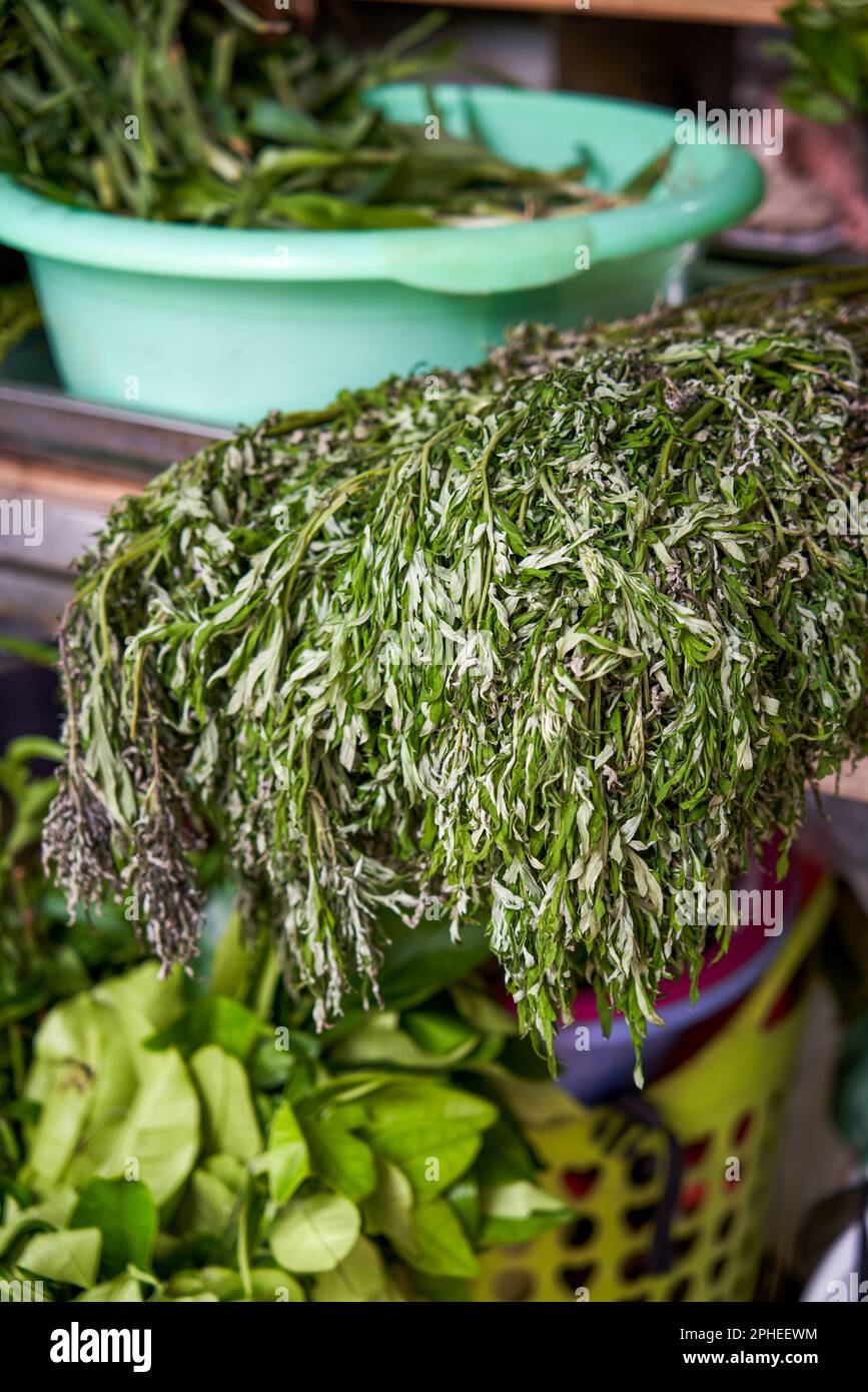 Herbs needed to make five-color glutinous rice, a traditional Chinese ...