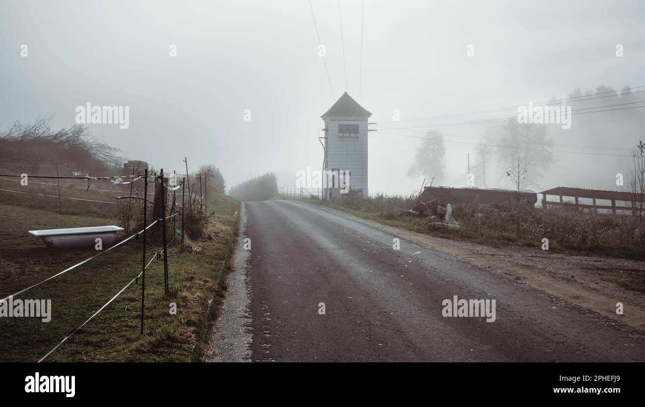 Empty rural road passing by forest on foggy day Stock Photo - Alamy