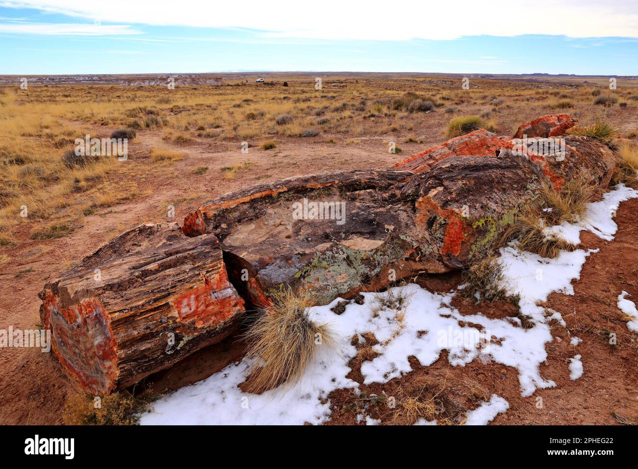 Petrified Forest National Park, a natural attraction place with many ...