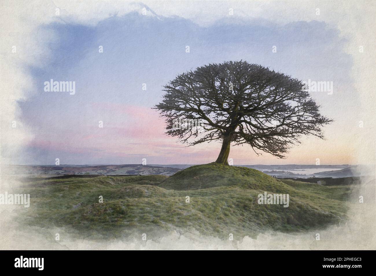 A digital watercolor painting of a lone tree at sunrise on Grindon Moor, Staffordshire, White ...