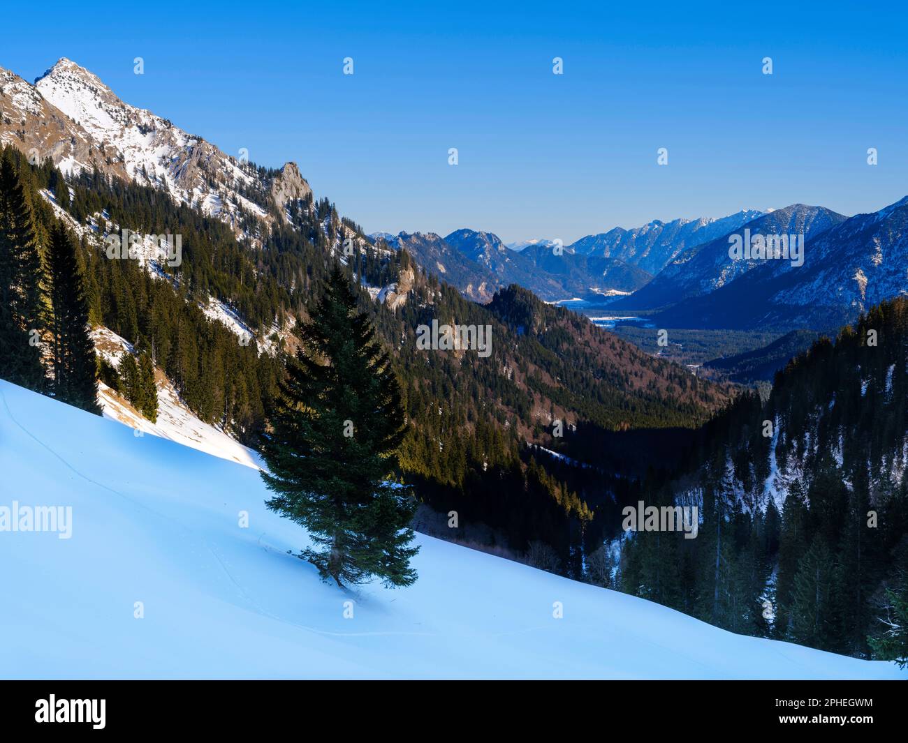View towards Mt. Grosse Klammspitz and the valley of river Ammer. Natur ...