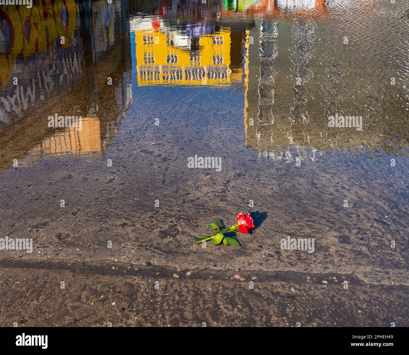Berlin germany red rose hi-res stock photography and images - Alamy