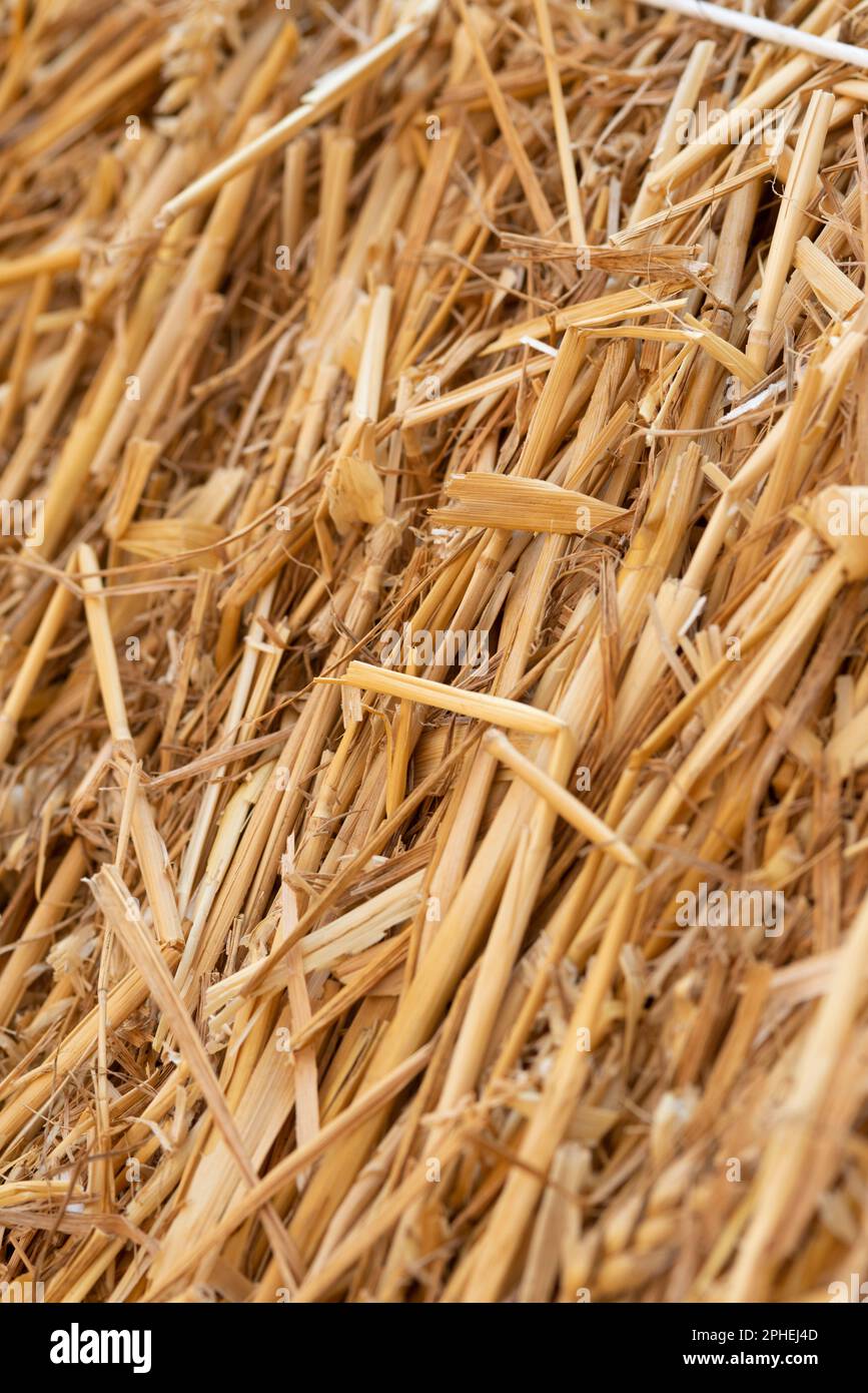 Straw Close Up Stock Photo - Alamy