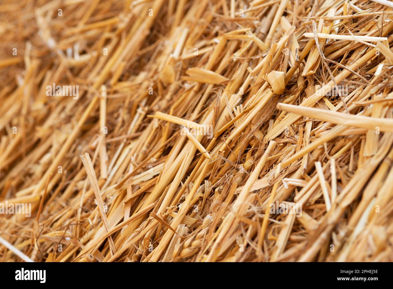 Straw Close Up Stock Photo - Alamy