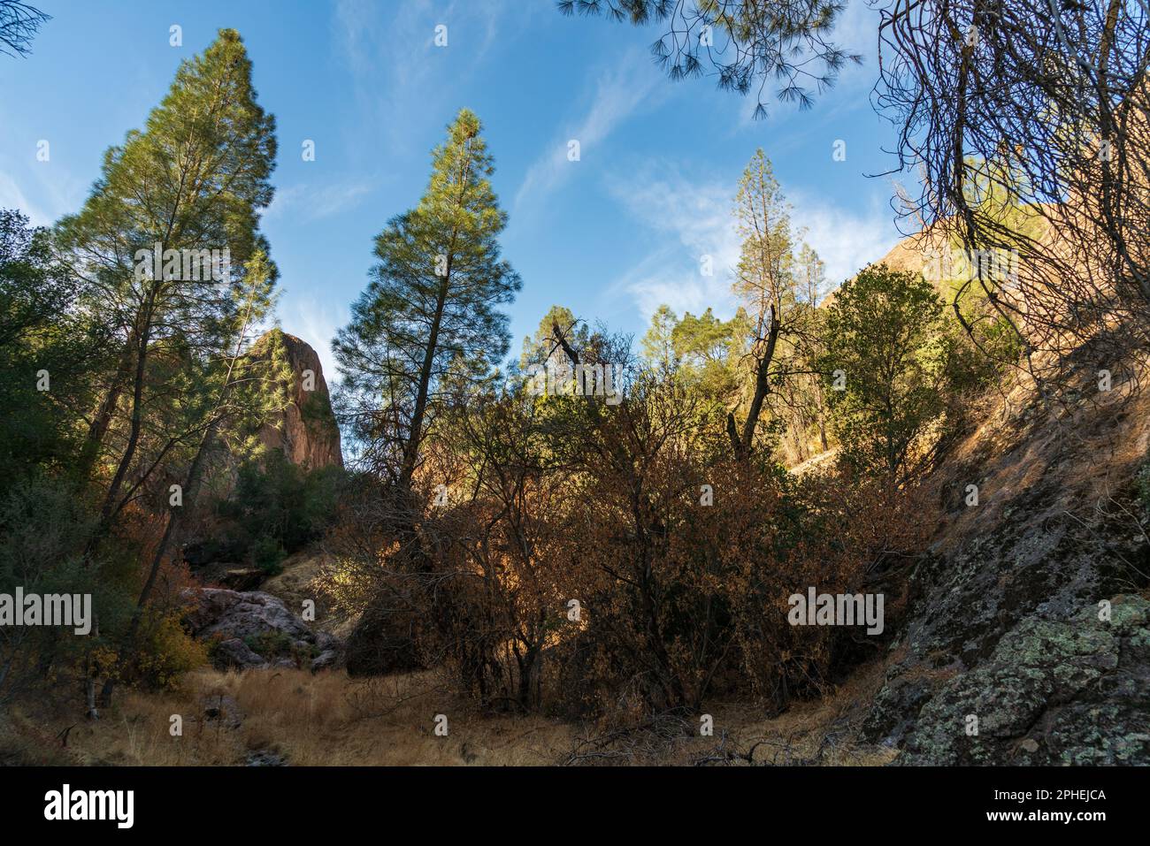 Pinnacles national park wildlife hi-res stock photography and images ...
