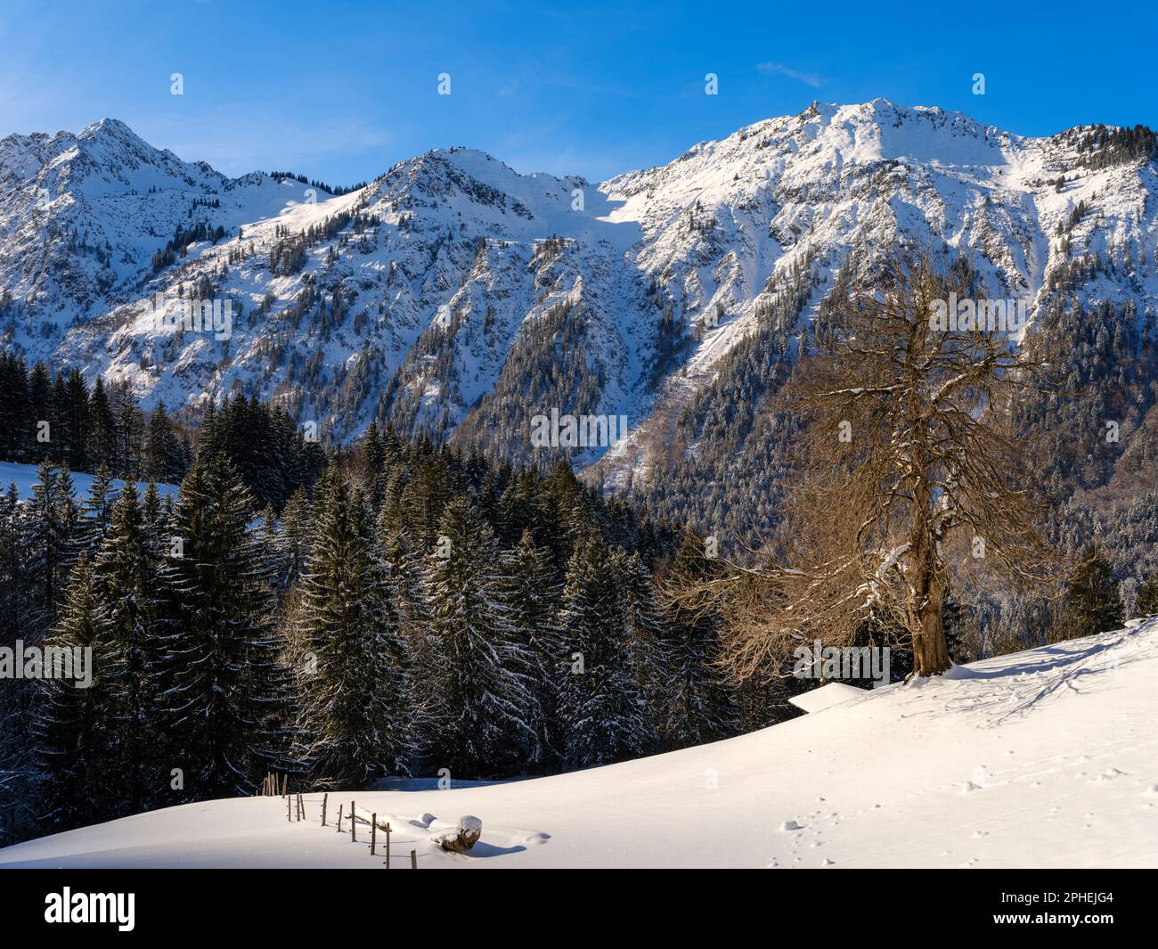 Schne Alpenberquerung Oberstdorfmeran 50 Plus Fotos