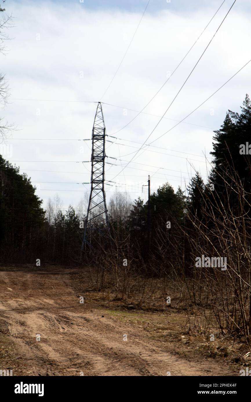 photo of a power line in the woods with wires Stock Photo - Alamy