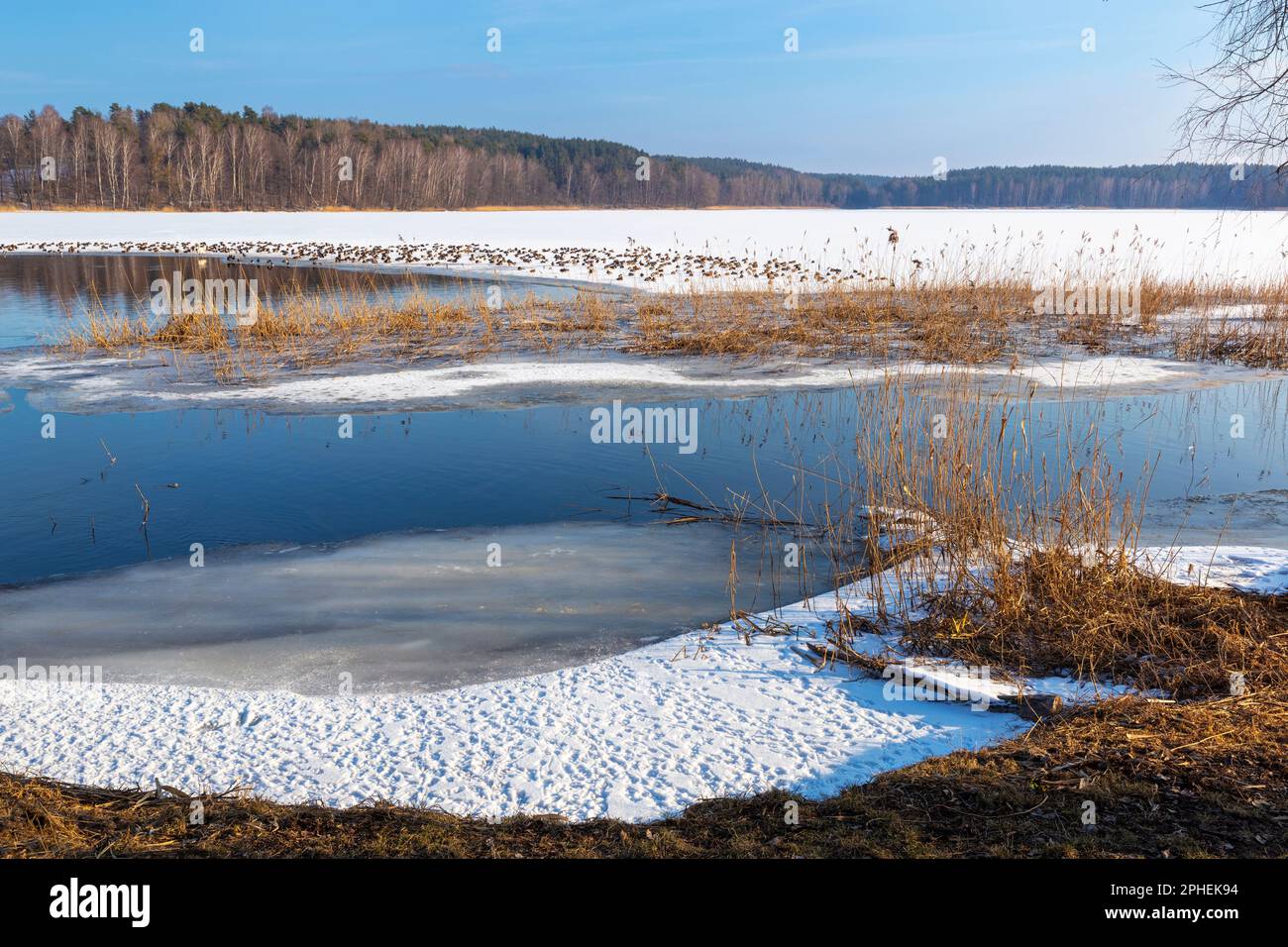 Lake Mosag, Warmia, Poland Stock Photo - Alamy